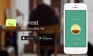 The 10 Best Productivity Apps for 2021 - iOS and Android | Nsouly