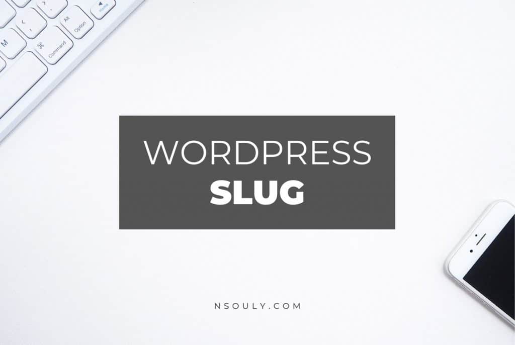 Slug: What is It and How to Optimize It? | Nsouly